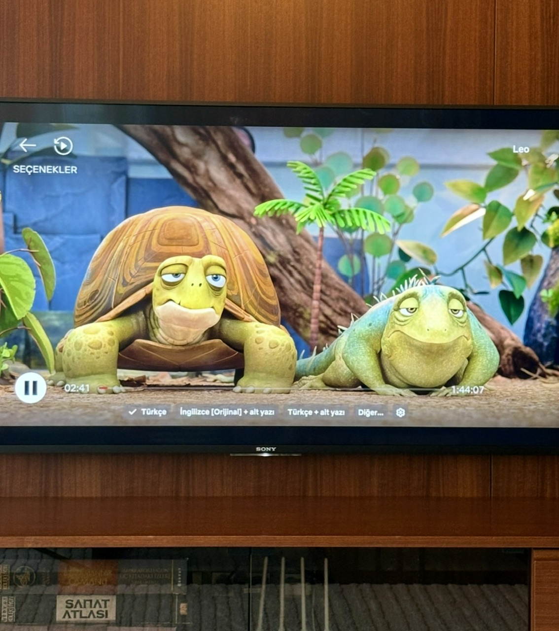 IMG-0851 hosted at ImgBB — ImgBB