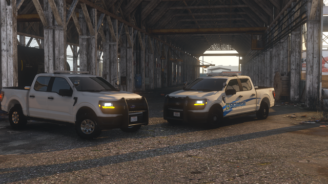 2025 F150 LEO Street & Bubba Versions | Ferious Development LLC