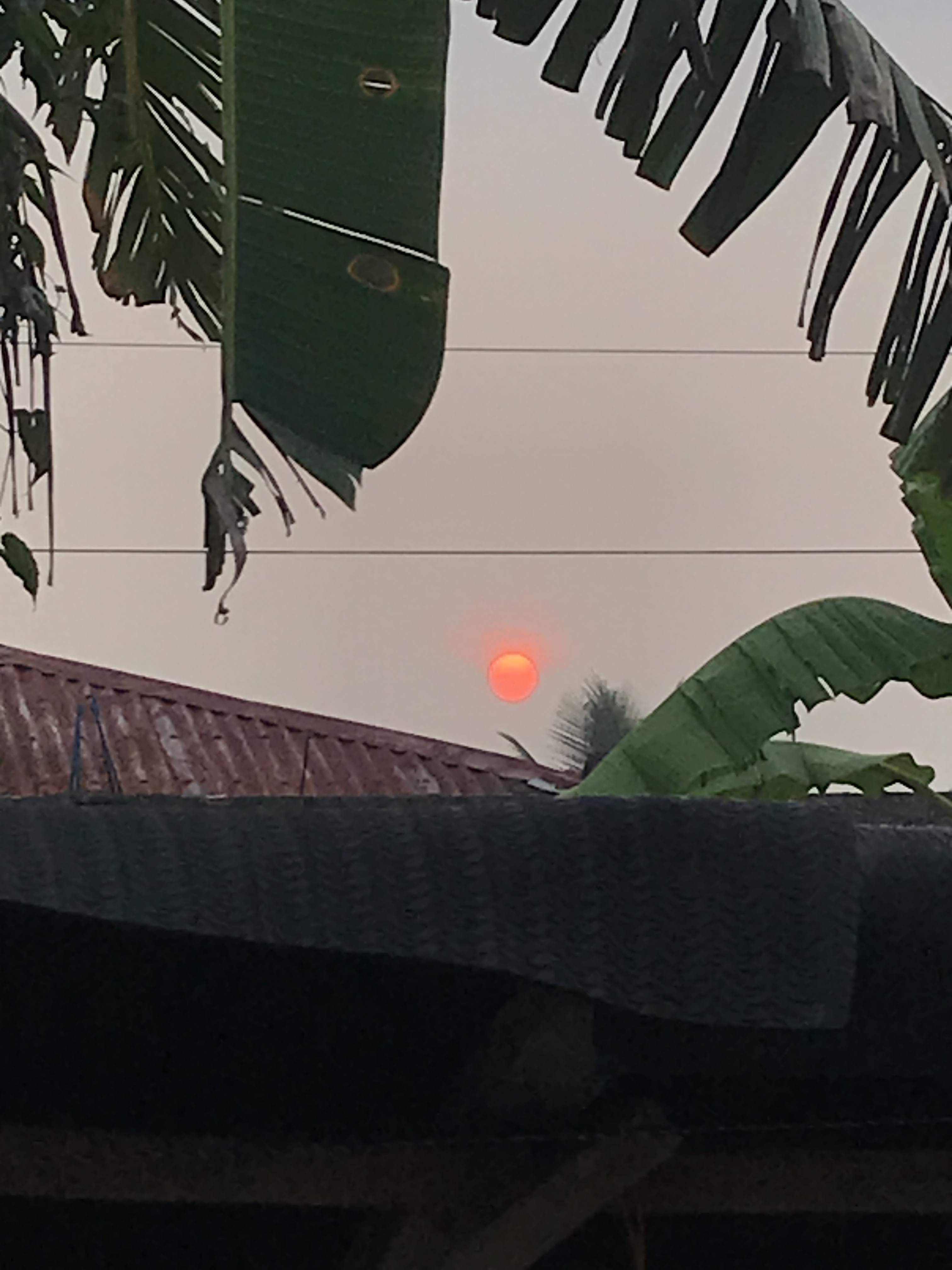 956-C0-A0-D-E6-F6-40-EB-9-F81-AFCB5-E808-F1-F hosted at ImgBB — ImgBB