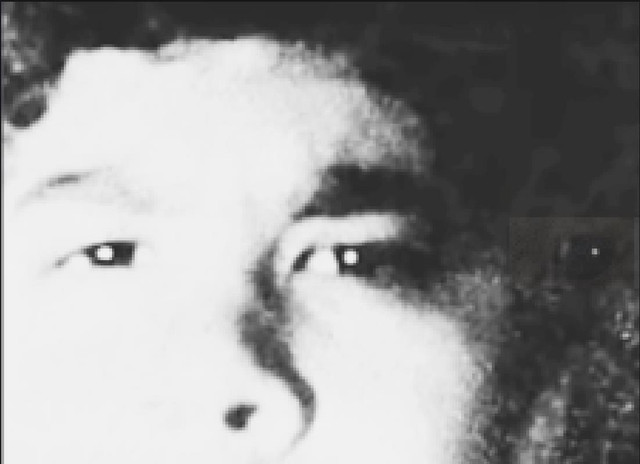 The lost Boy Scout. Jared Michael Negrete has been missing from a Boy ...