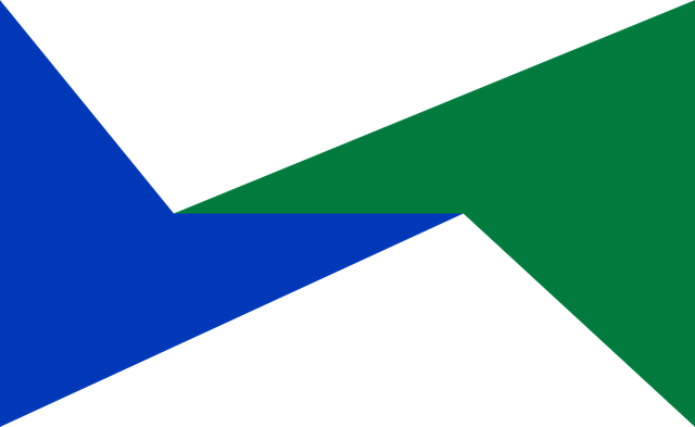 A simple Israel-Palestine one-state flag : r/vexillology