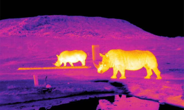 New technologies helping conservation biologists protect the future