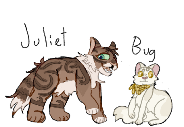 IMG-3255 hosted at ImgBB — ImgBB