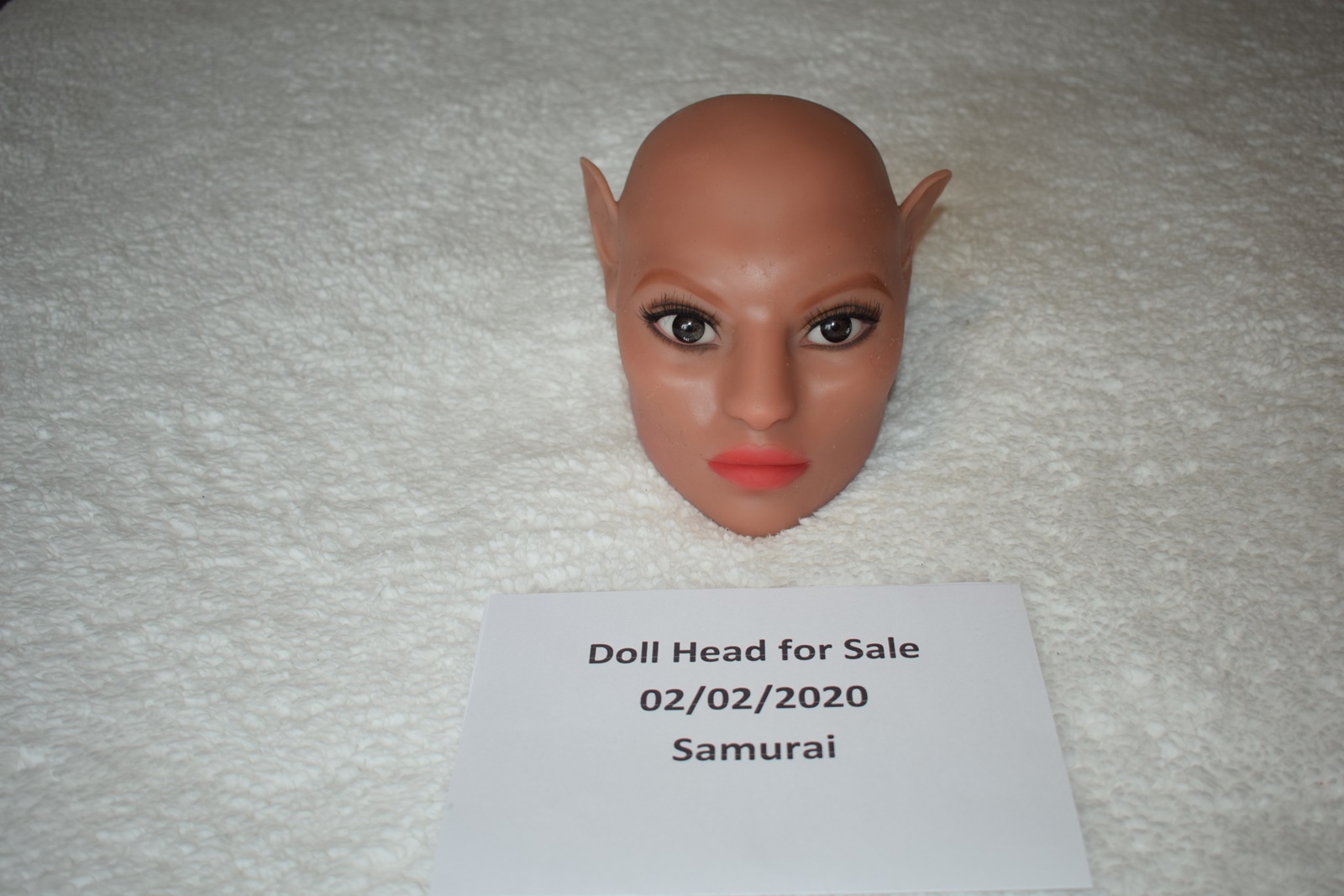 DSC-0053 hosted at ImgBB — ImgBB