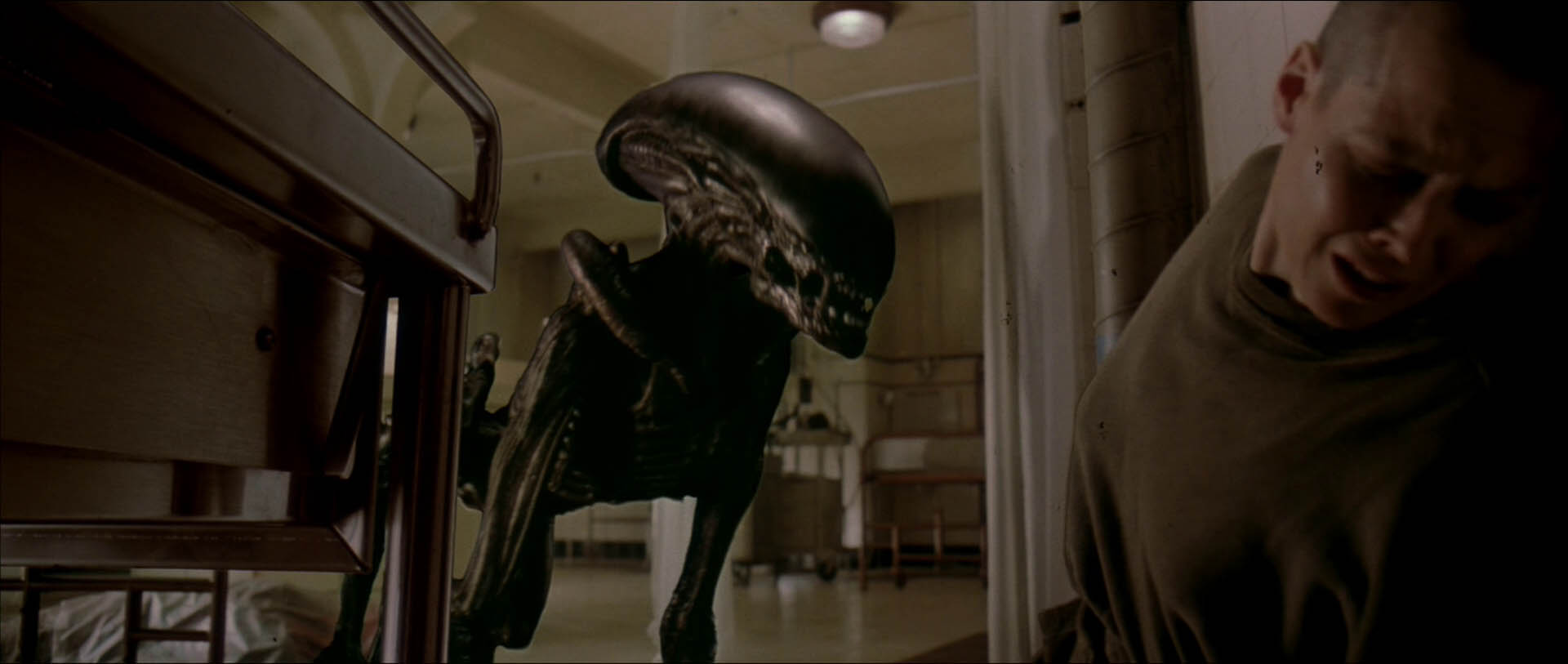 all things alien film franchise | Page 5 | Steve Hoffman Music Forums
