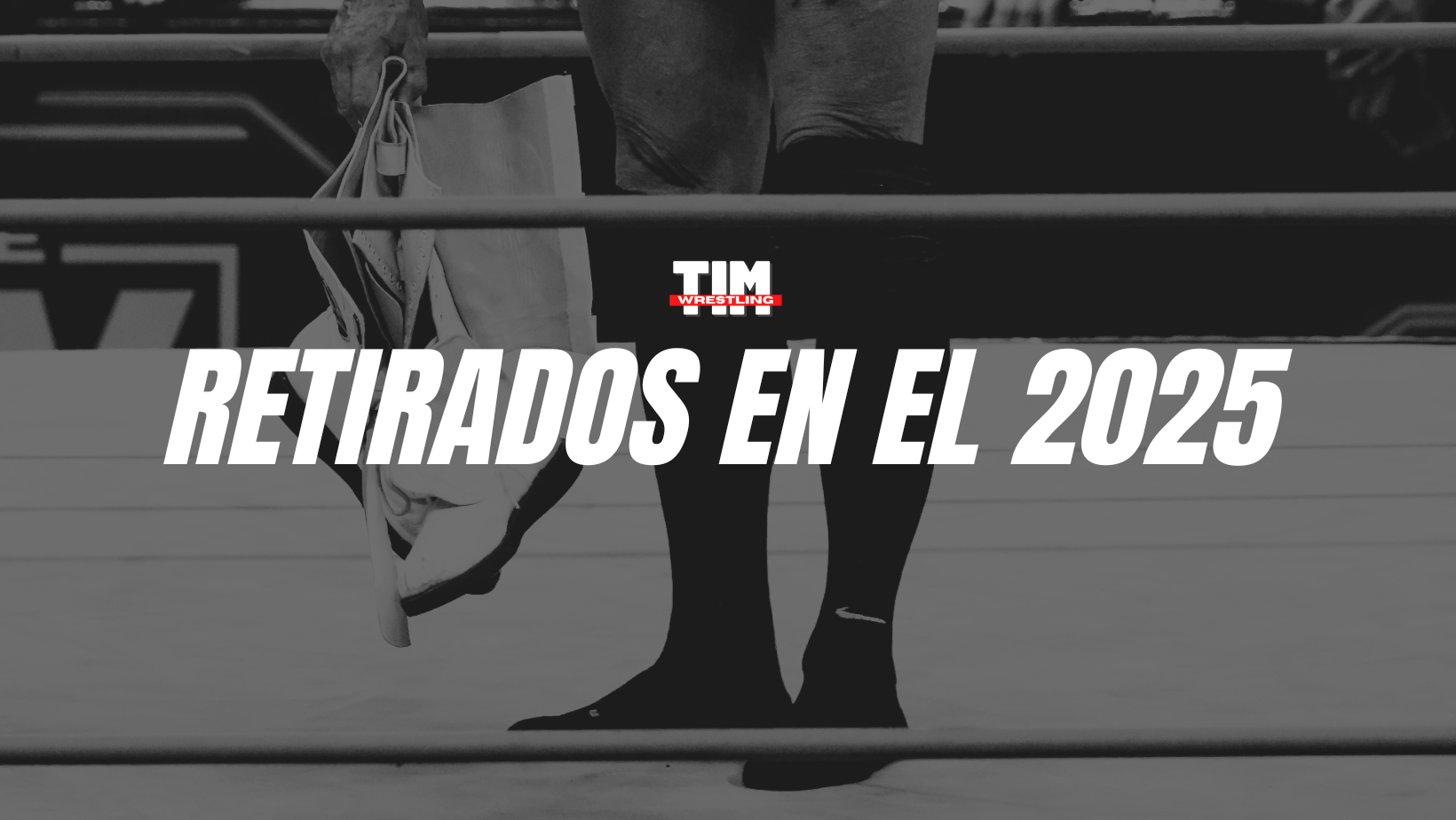 Retirados en el 2025 - TIM Wrestling