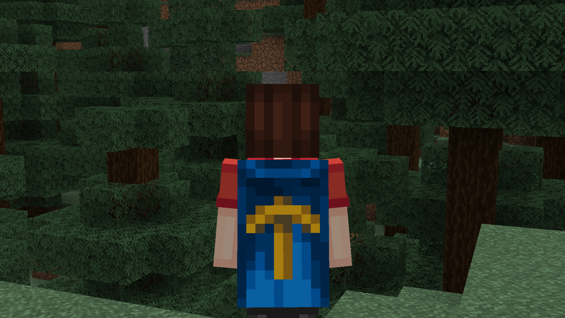 exotiques "Bedrock Custom Capes V1" Mod for Minecraft: Bedrock Edition ...