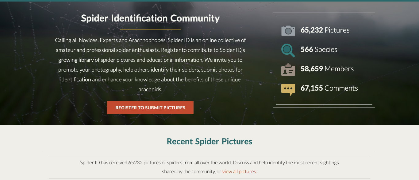 Spider ID - Community driven spider identification - SideProjectors ...