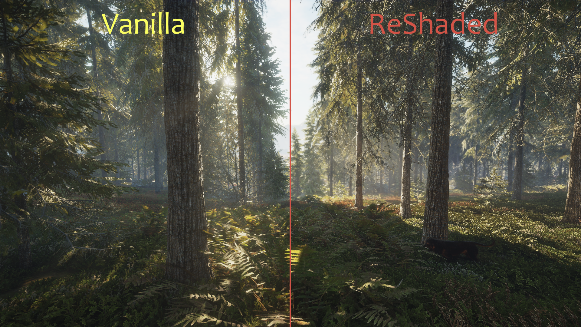 theHunter-COTW - CinematicPunch at theHunter: Call of the Wild Nexus ...