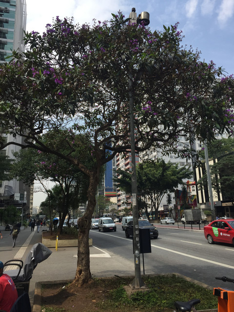 IMG-4569 hosted at ImgBB — ImgBB