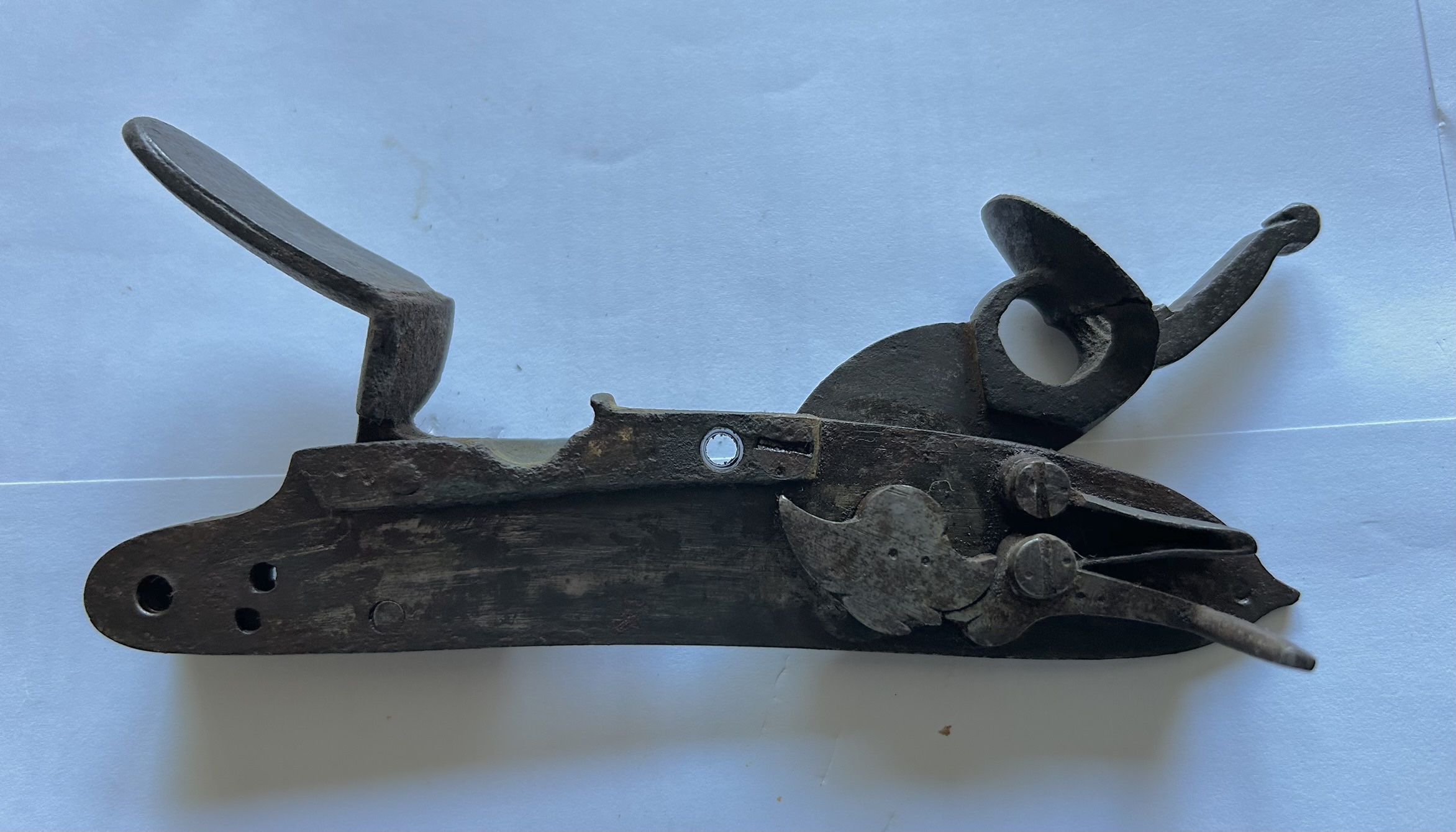 IMG-3239-Edited hosted at ImgBB — ImgBB