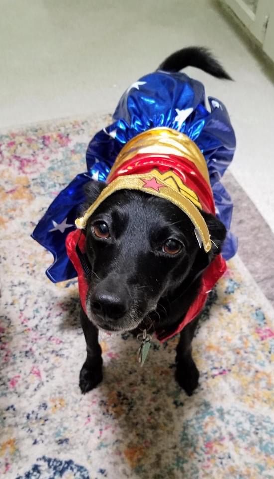 IMG-3239 hosted at ImgBB — ImgBB