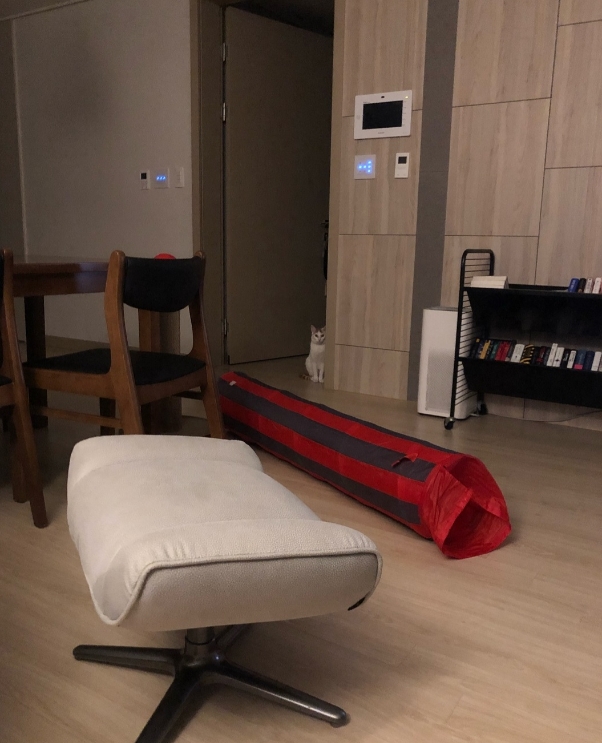 K-015 hosted at ImgBB — ImgBB