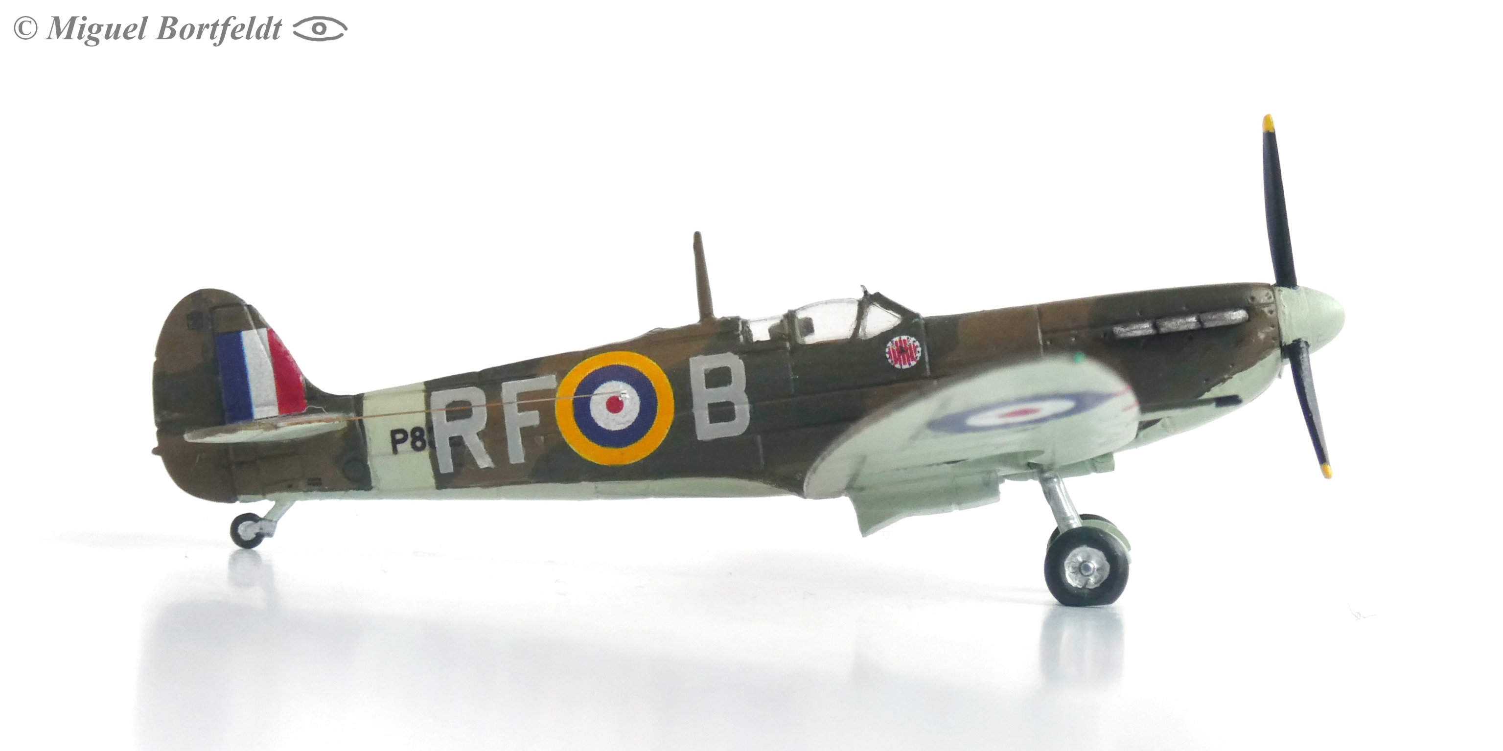 Spitfire Mk.IIb 303 Sqn - Ready for Inspection - Aircraft ...