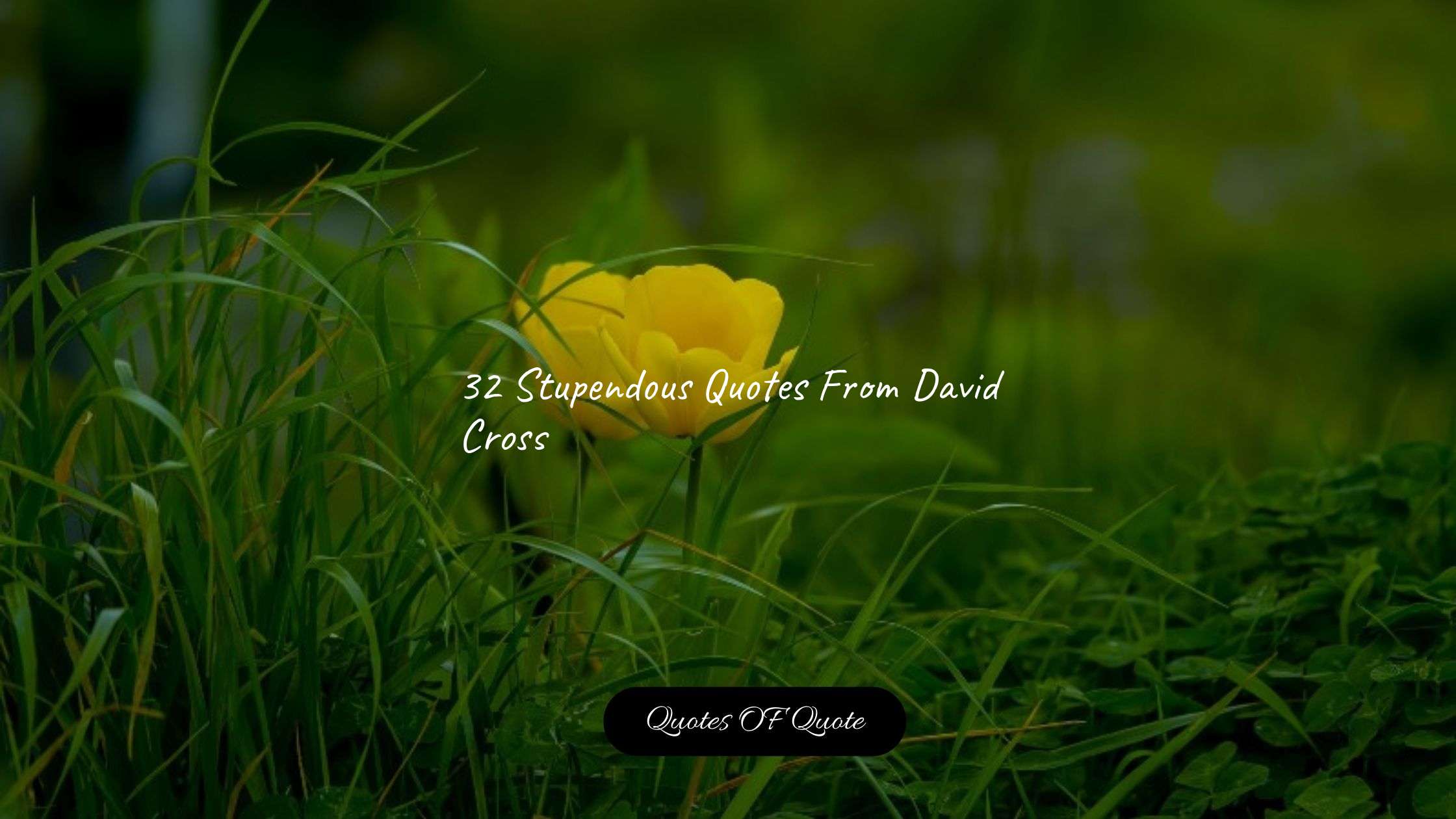 32 Stupendous Quotes From David Cross | Status Free Download