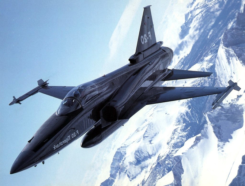 F-20 Tigershark + Sparrow Hasegawa 1/72 - Ready for Inspection - Aircraft - Britmodeller.com