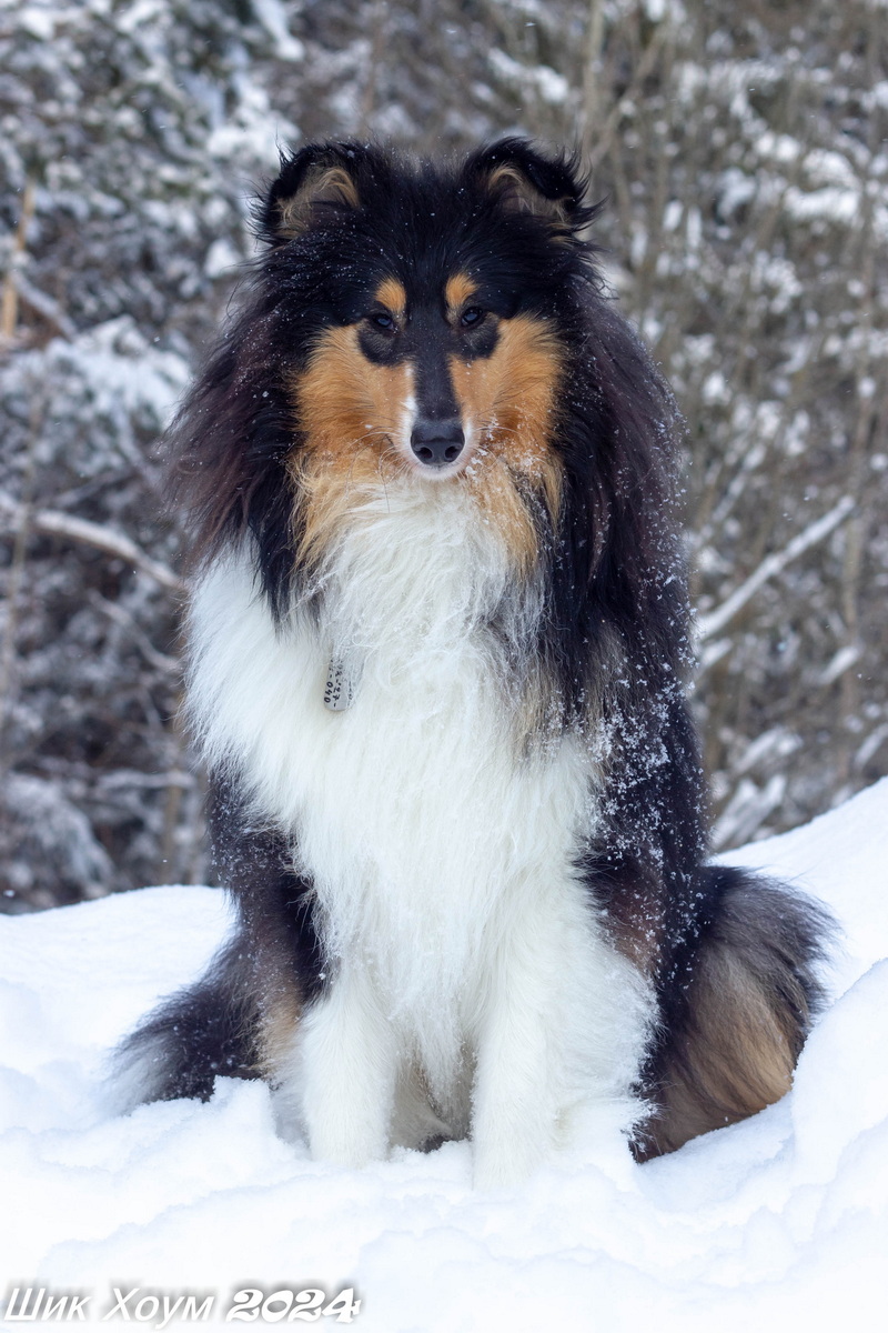 0-IMG-0247 hosted at ImgBB — ImgBB