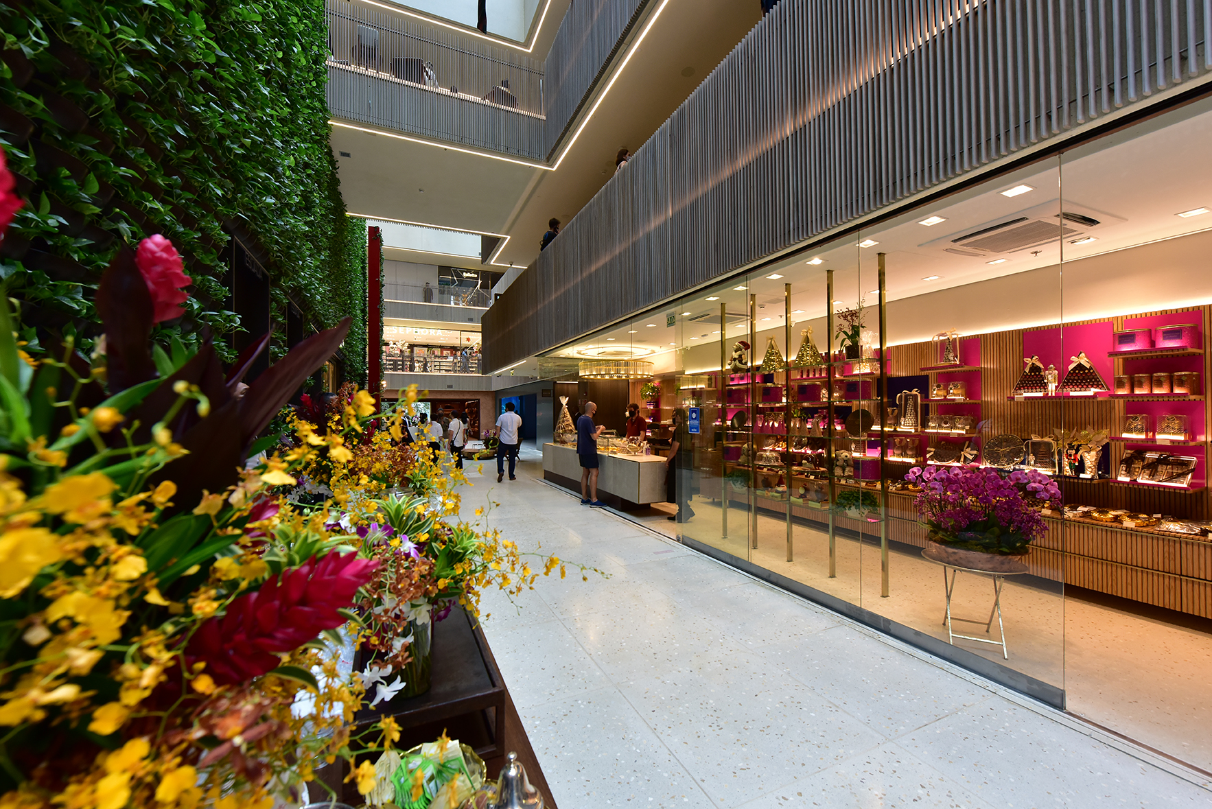 DSC-3538 hosted at ImgBB — ImgBB