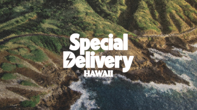 Special Delivery Hawaii