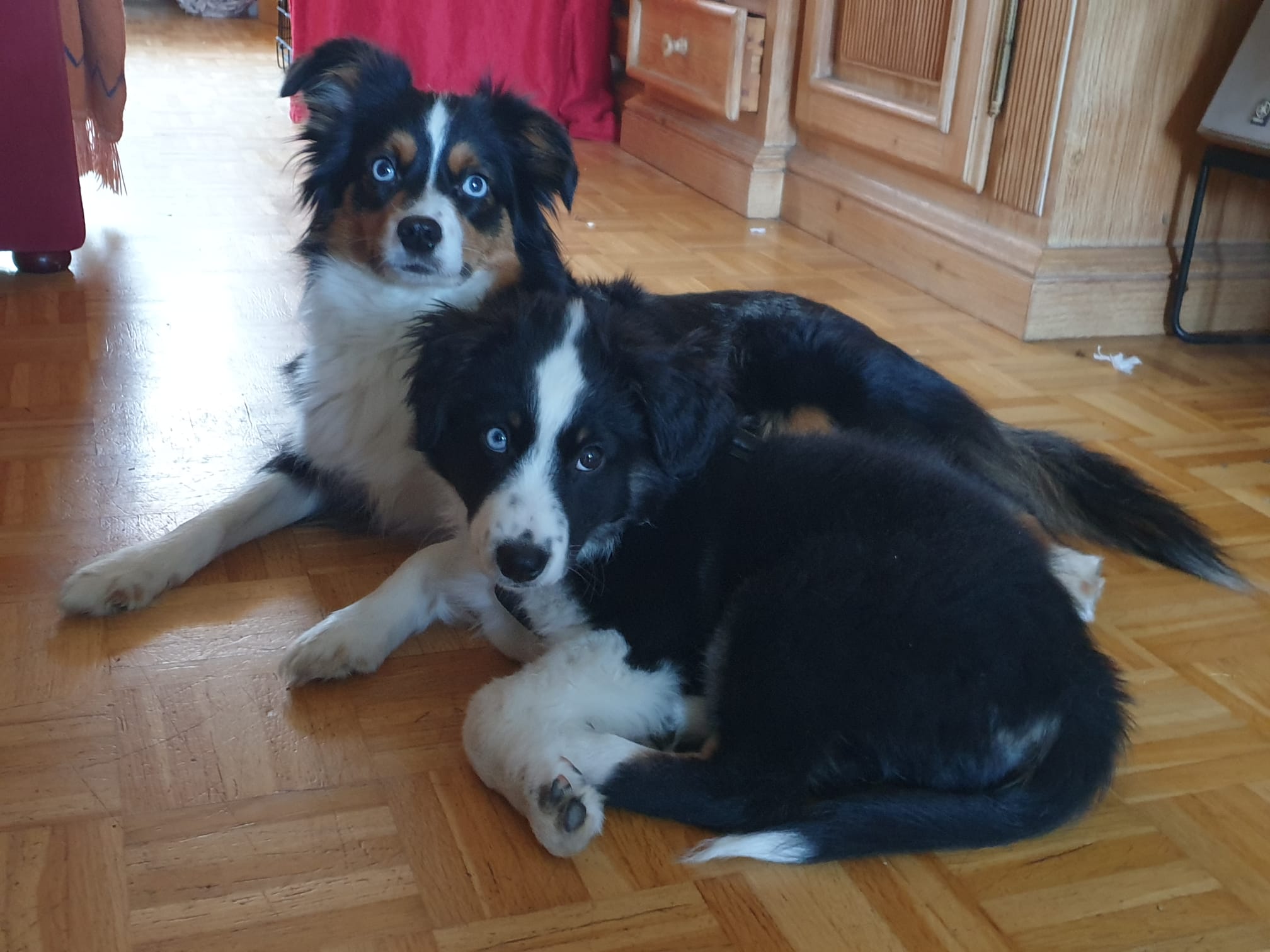 IMG-20241201-WA0001 hosted at ImgBB — ImgBB