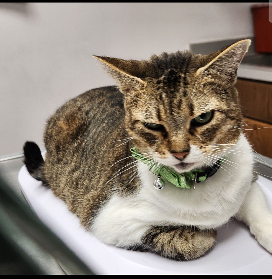 20250517-185842350 hosted at ImgBB — ImgBB