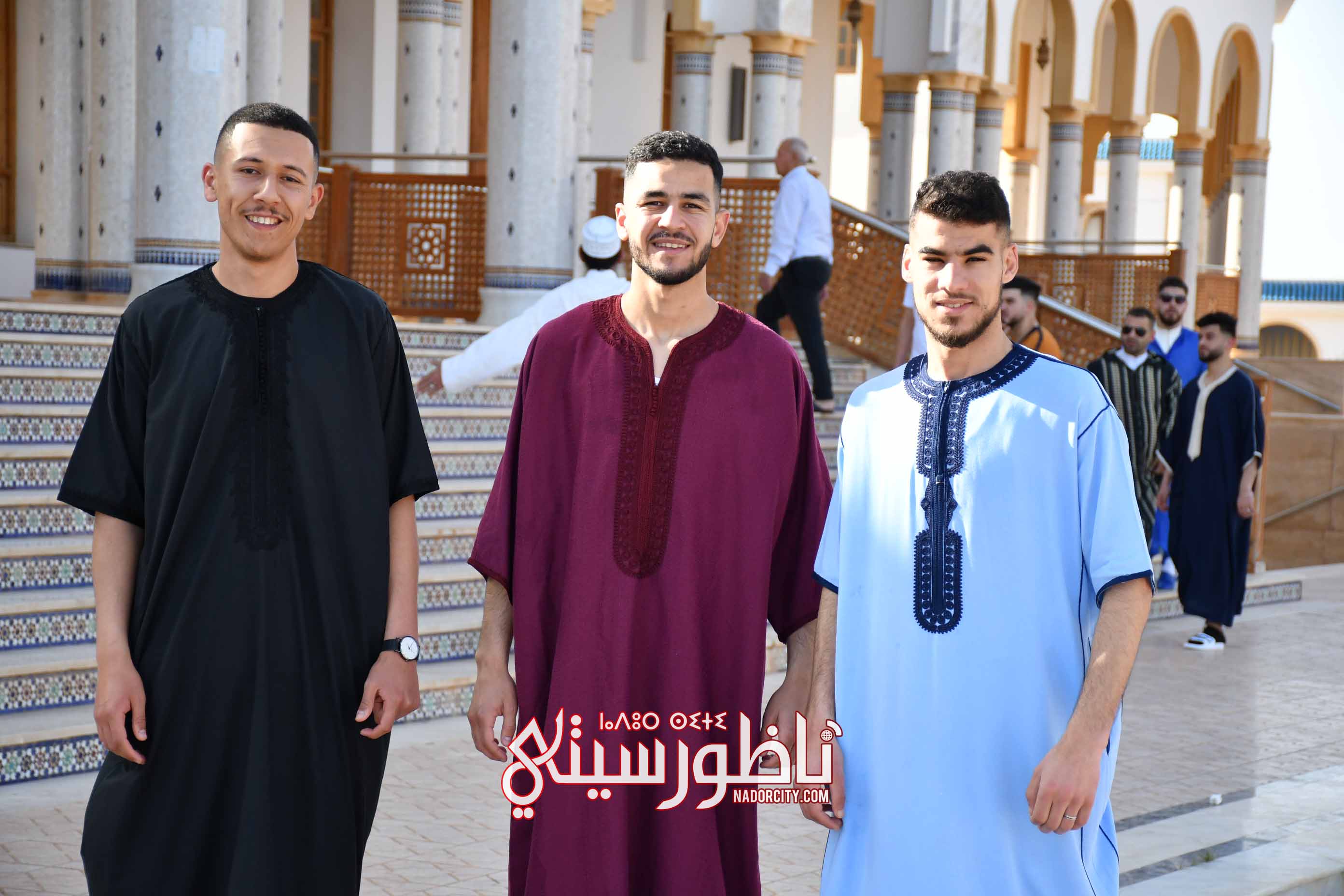 DSC-3499 hosted at ImgBB — ImgBB