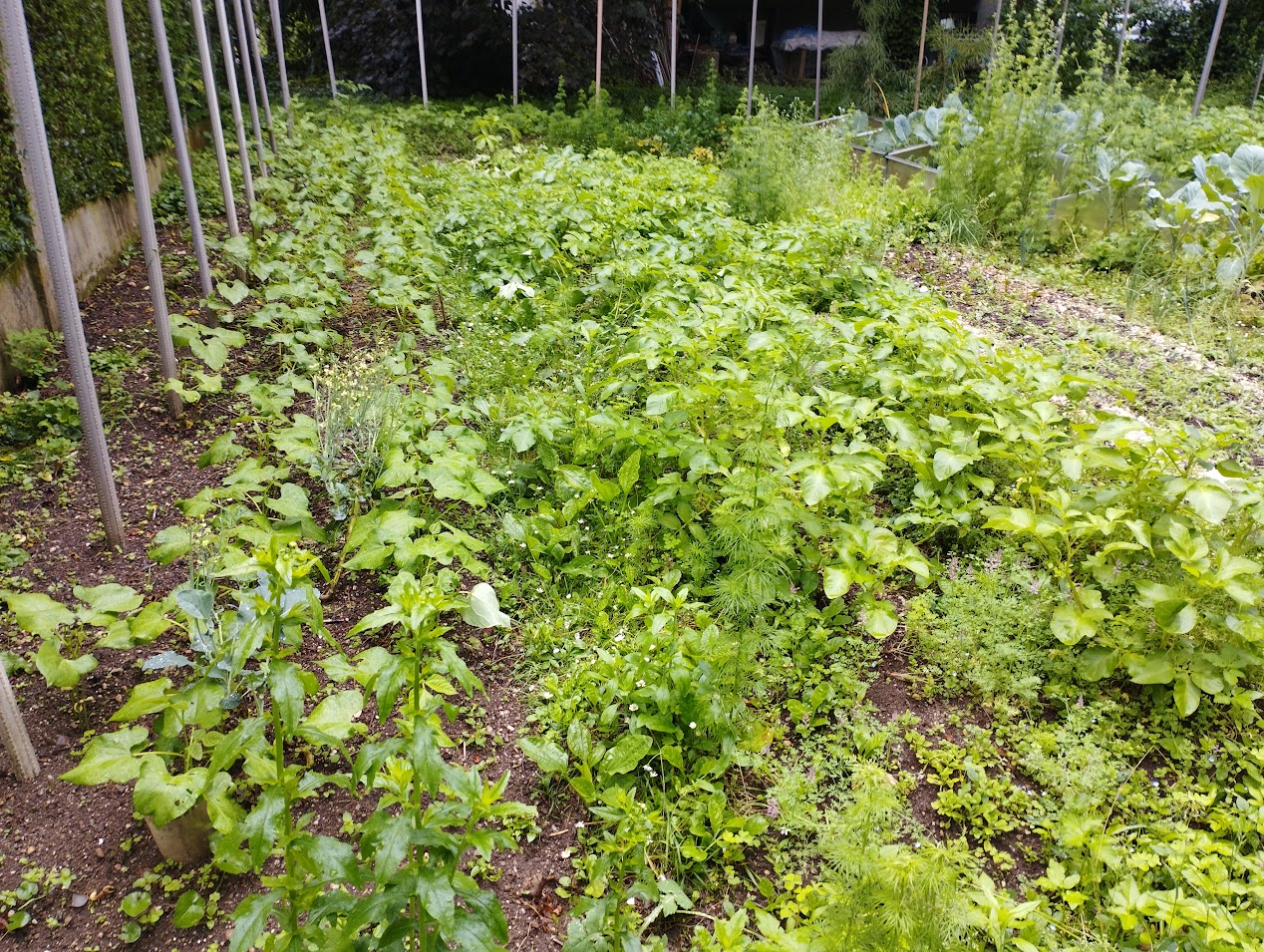 IMG-20230605-122403 hosted at ImgBB — ImgBB