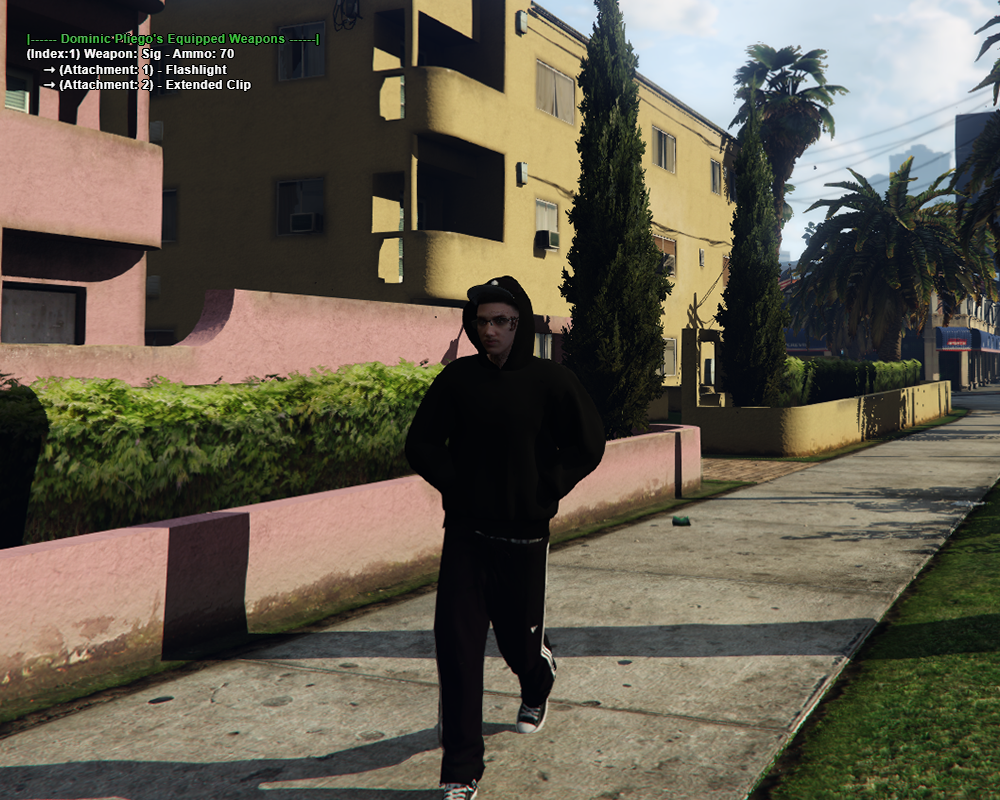 Dominic "Lil Poorboy" Pliego - Archive - GTA World Forums - GTA V Heavy ...