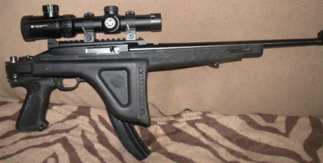 10/22 Takedown and regular 10/22 Owners. What scope/red dot are you ...