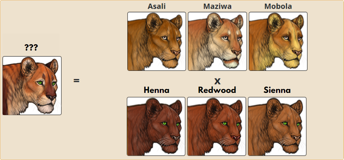45+ Base -- Tree Kangaroo Combo Base :|: Lioden