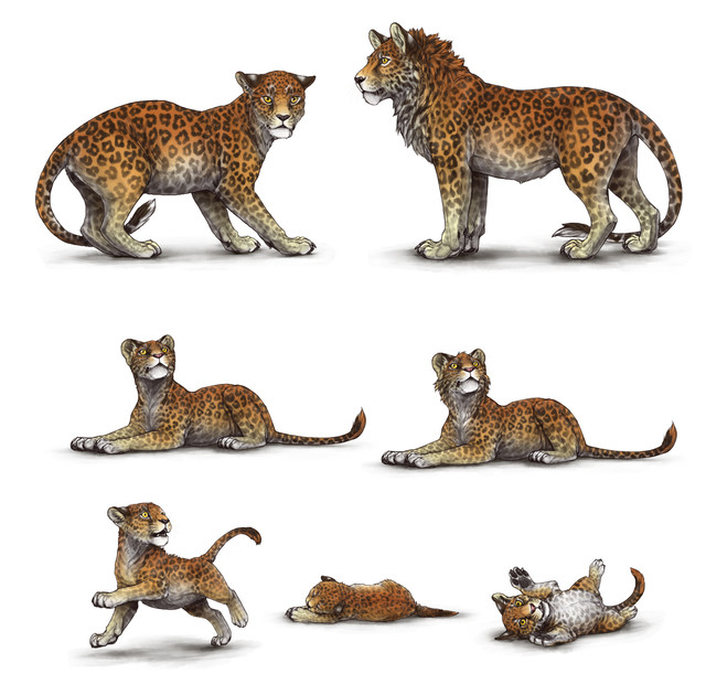 Oasis Pose for Adult Female Leopons :|: Lioden