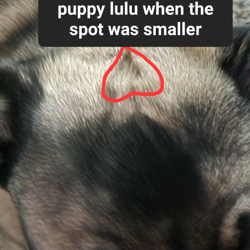 20230605-153215 hosted at ImgBB — ImgBB