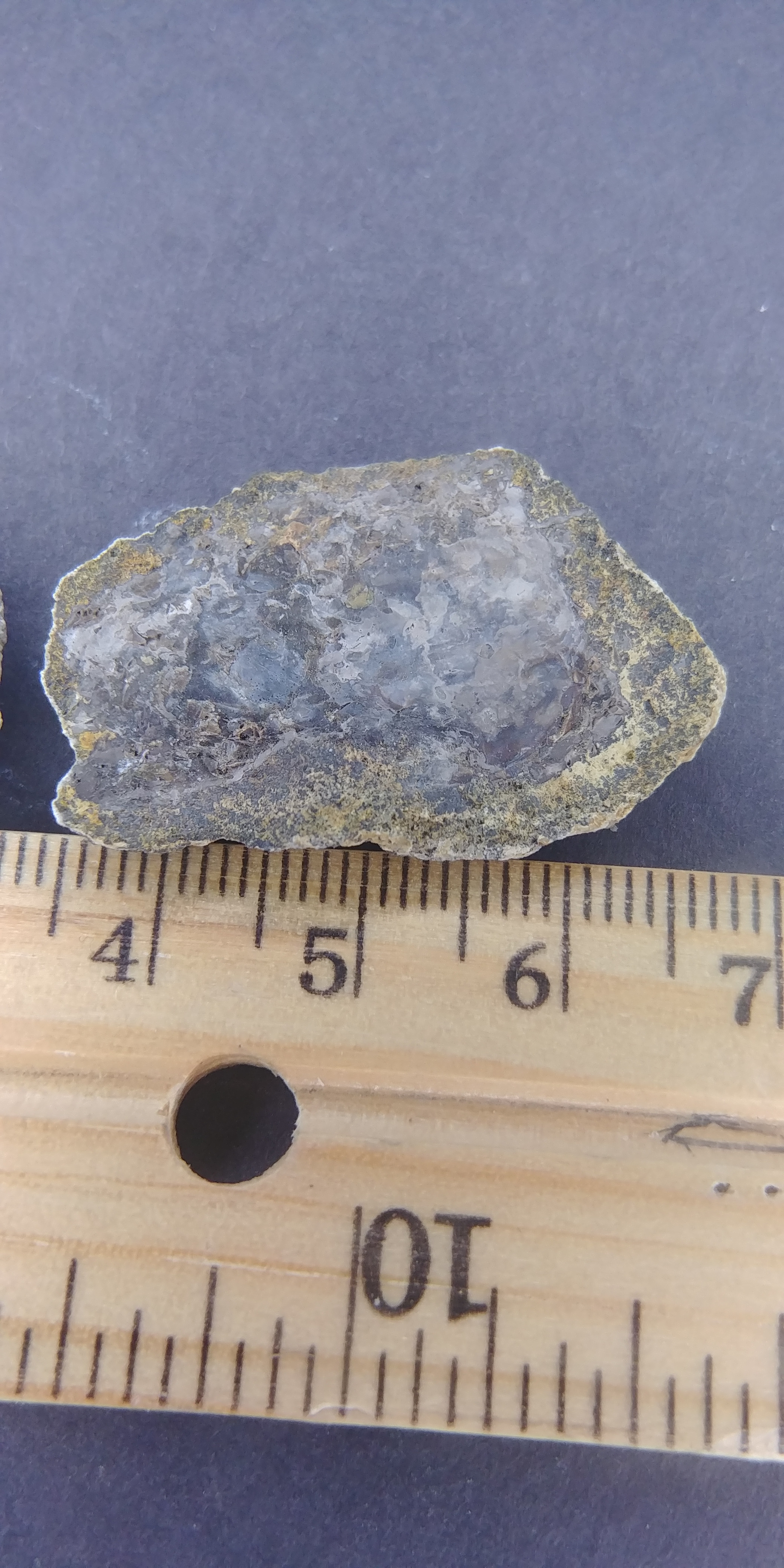 Hard to identify material in phosphatic nodule? Piece of a crustacean ...