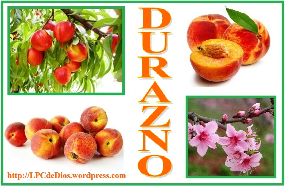 durazno hosted at ImgBB — ImgBB