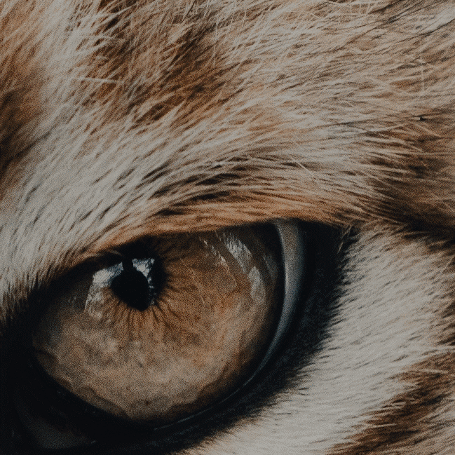 Global Warming: Undertaking the Impact, Causses, and Solutions – ECOBLOG