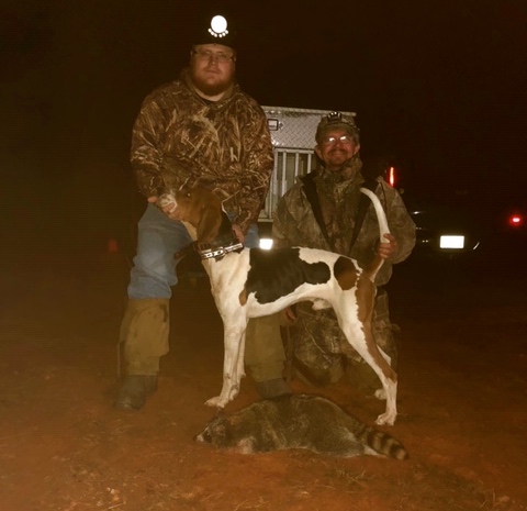 IMG-0482 hosted at ImgBB — ImgBB