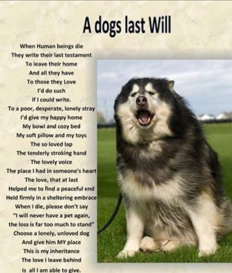 Screenshot-20250618-190528-Facebook hosted at ImgBB — ImgBB