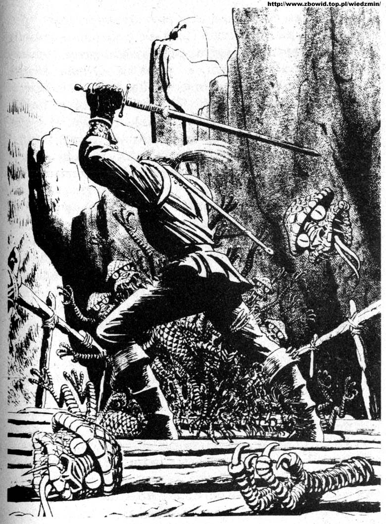 Witcher short story illustrations by Boguslaw Polch, from early 1990s ...