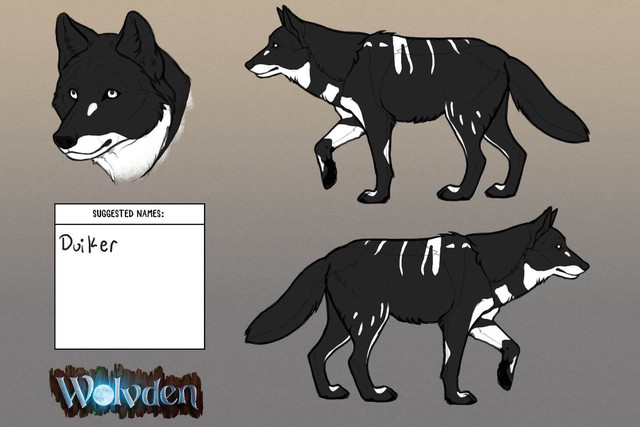 duiker |:| Wolvden