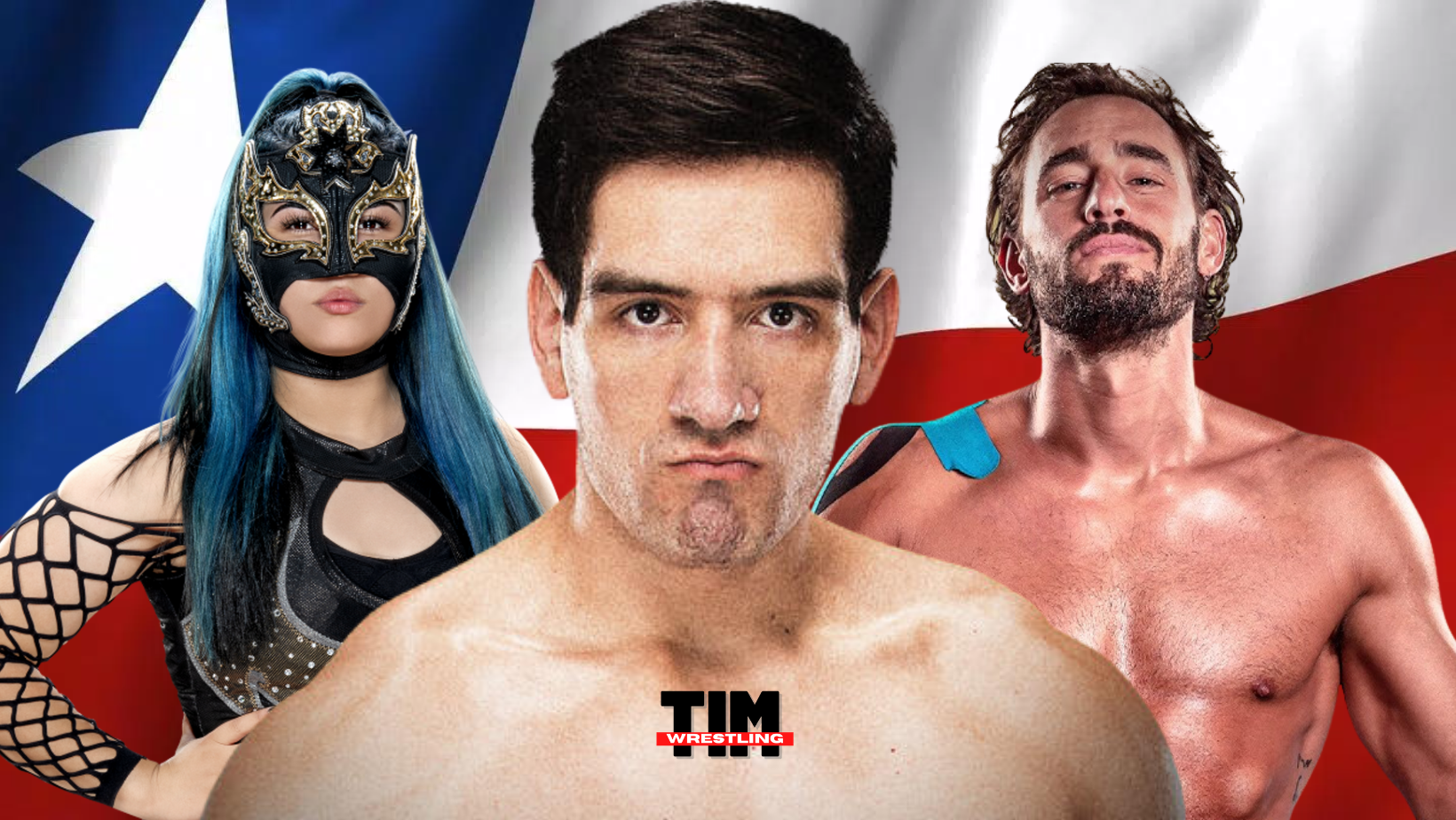 TIM Wrestling - Página 3 de 479 - ¡Somos el viejo y querido TIM!