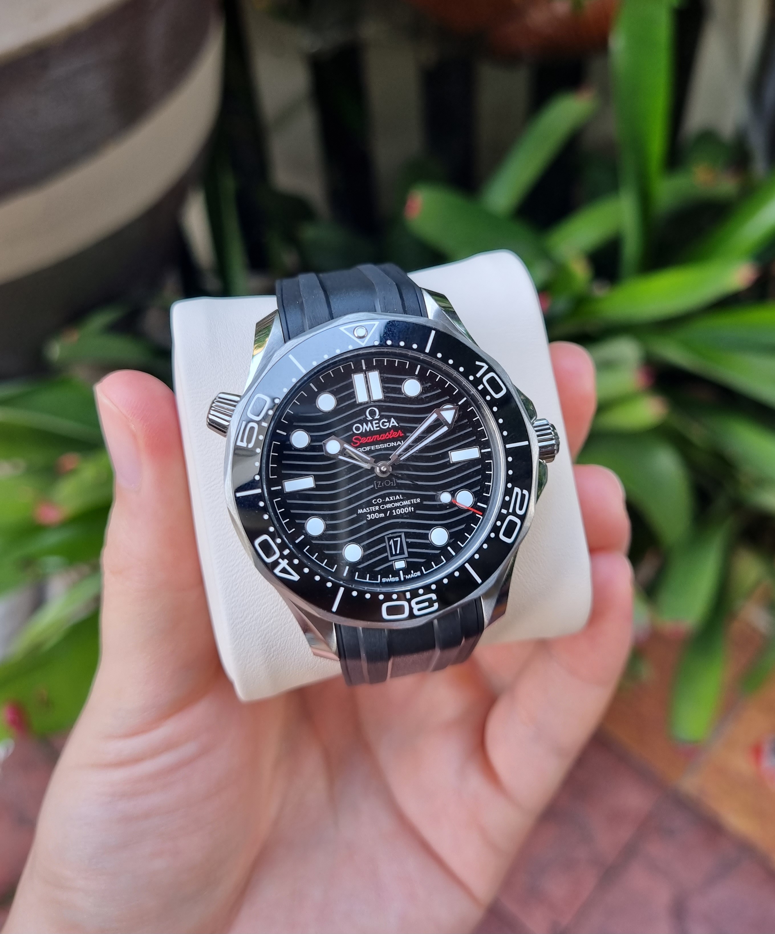 20230112-074738 hosted at ImgBB — ImgBB