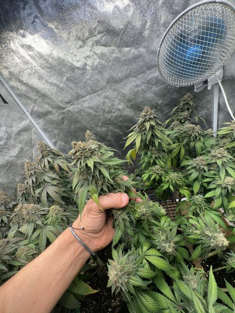 IMG-2312 hosted at ImgBB — ImgBB