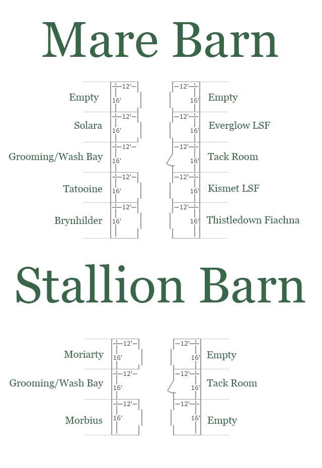 Stable Prompts - 23.1 - the Neighborhood