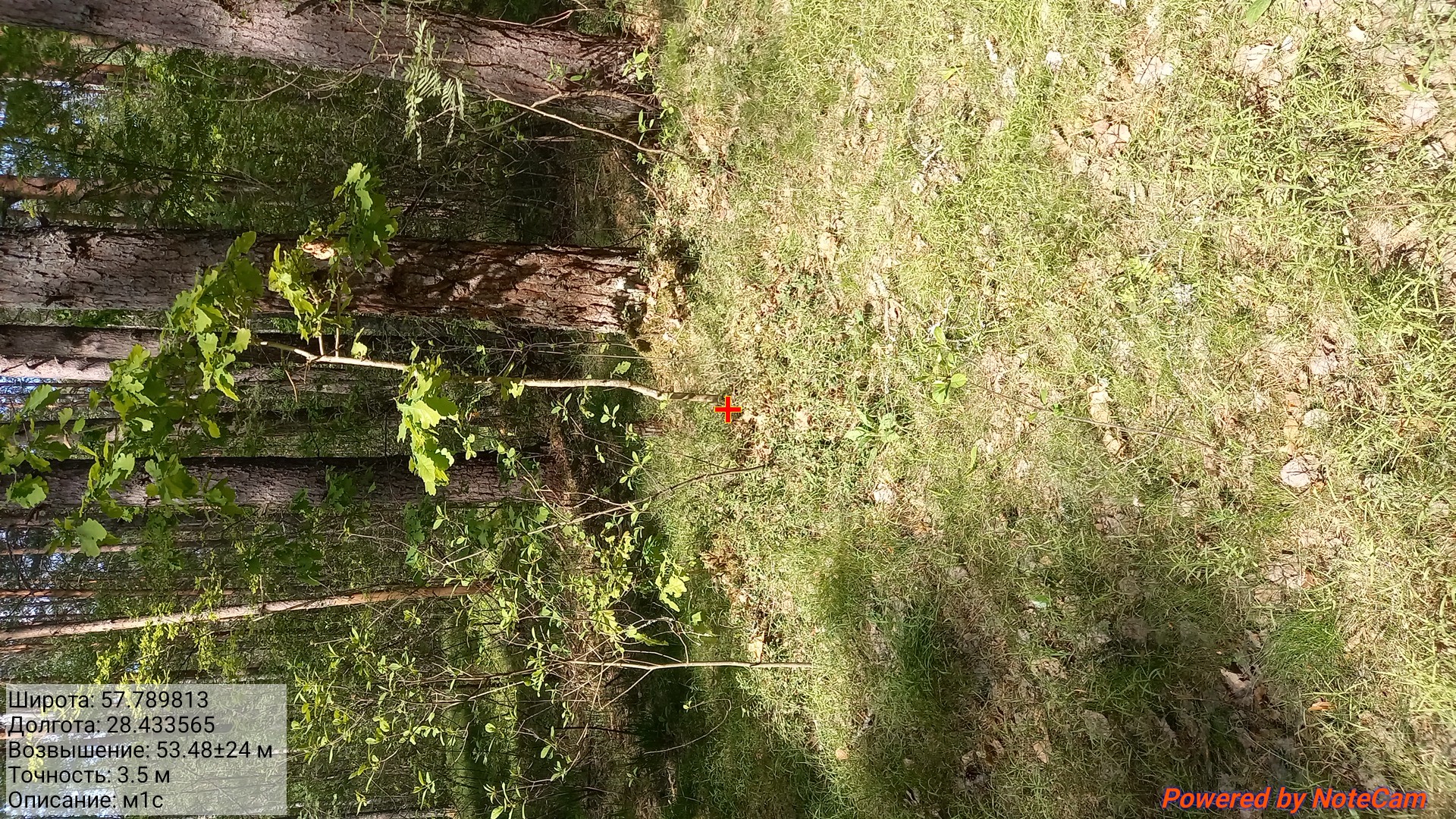 20230527-150820 hosted at ImgBB — ImgBB