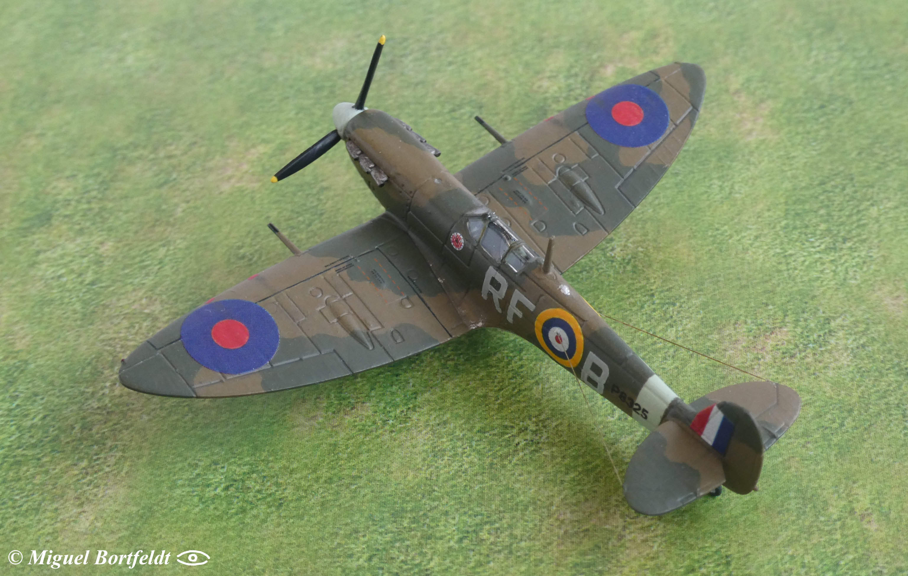 Spitfire Mk.IIb 303 Sqn - Ready for Inspection - Aircraft ...