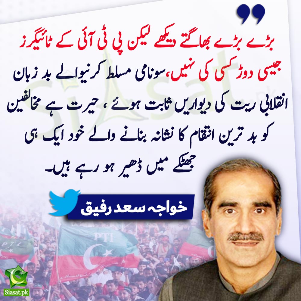 بڑےبڑے بھاگتےدیکھےلیکن پی ٹی آئی کےٹائیگرزجیسی دوڑ کسی کی نہیں:سعد رفیق ...