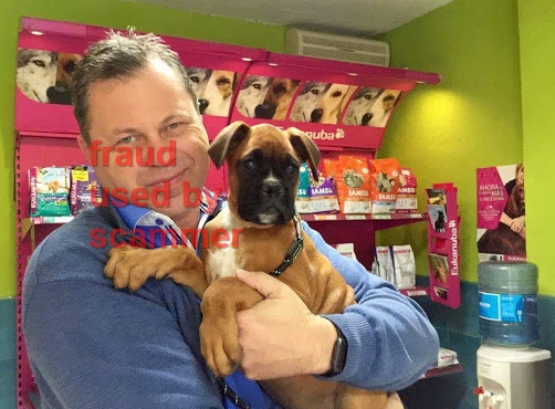 Screen Shot 005 hosted at ImgBB — ImgBB