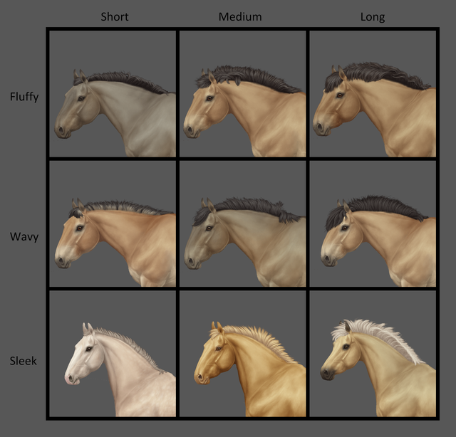 Mane & Tail Inheritance (New art!) • Horse World Online