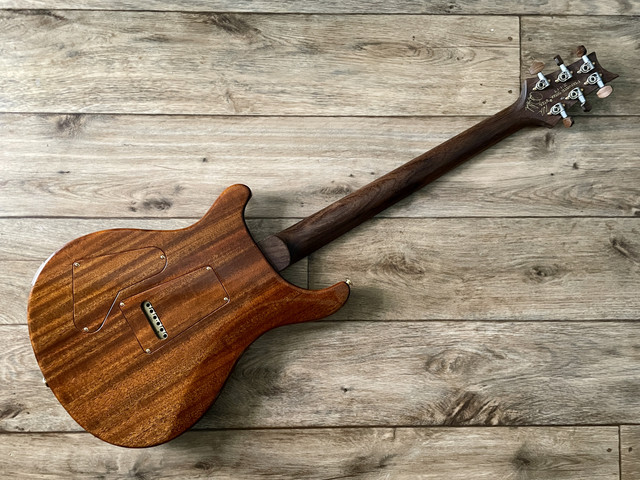 Dead thread: PRS Hollowbody II piezo, Santana III, Gretsch MIJ; Feline ...