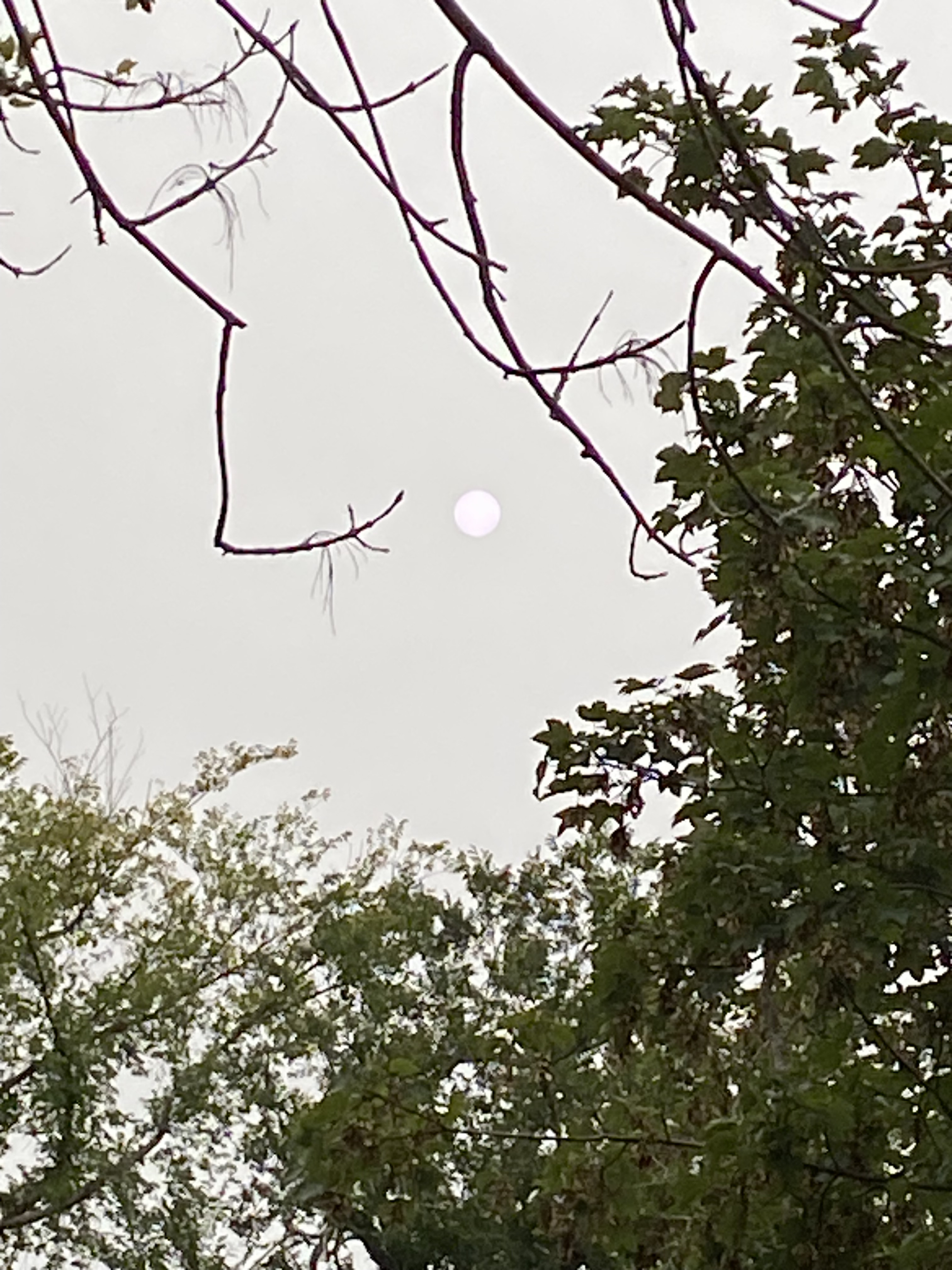 IMG-0632 hosted at ImgBB — ImgBB